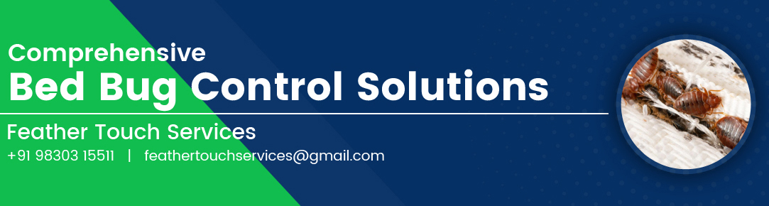 Bed Bug Control - Feather Touch Services